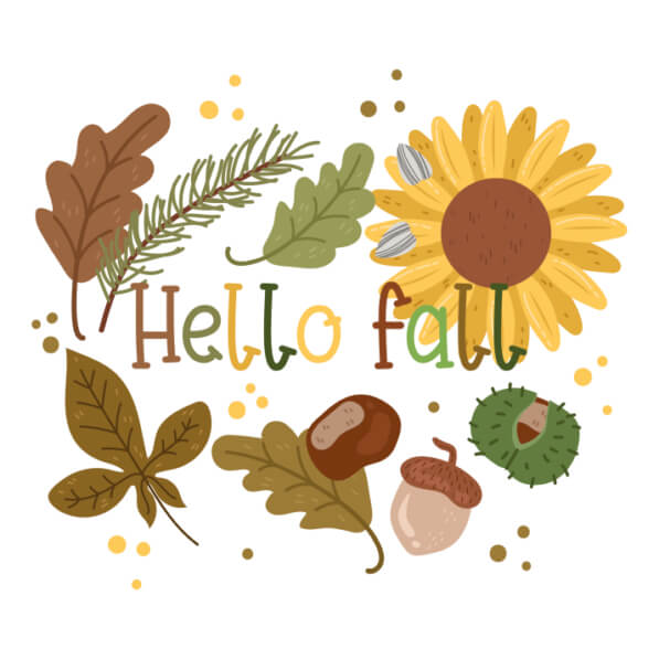 Download Hello Fall with Sunflowers, Nuts, and Leaves Quotes Online ...