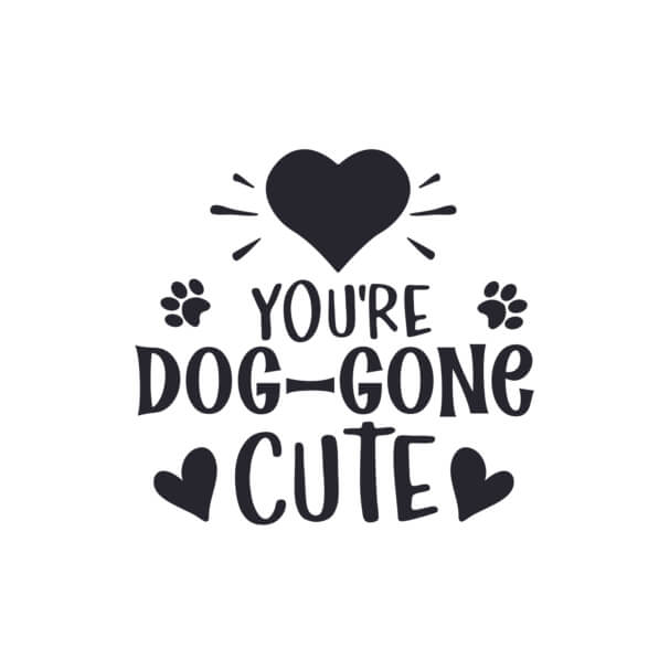 Download Cute Dog with 'You're Dog Gone Cute' Text Quotes Online ...