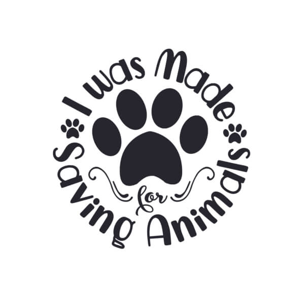 Download Dog Paw Image for Animal Welfare Campaign Quotes Online ...