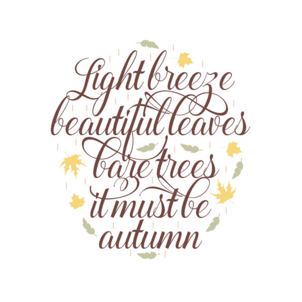 Download Autumn Beauty: Light Breeze, Beautiful Leaves, Love Trees ...