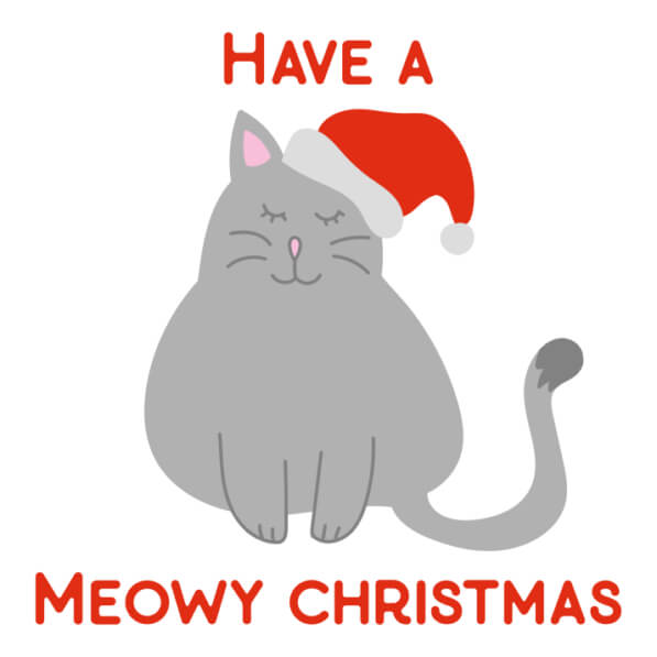 Download Gray Cat in Santa Hat with 'Have A Meowy Christmas' Message ...