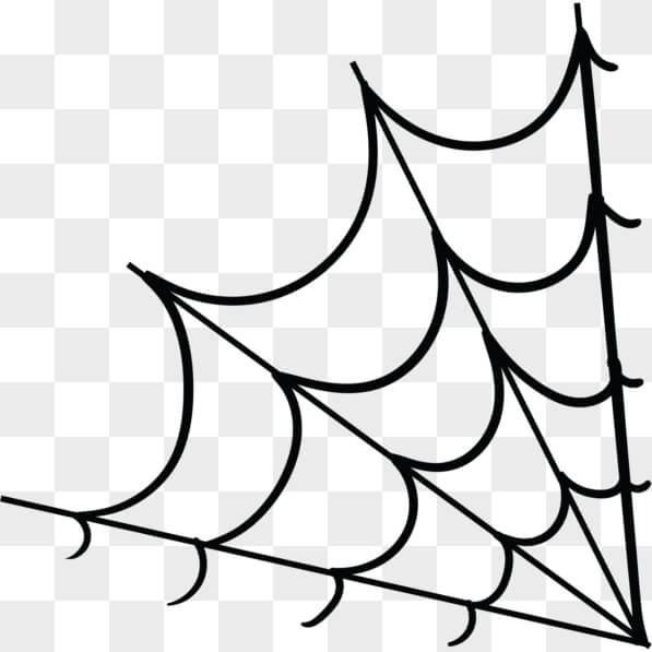 Download Black and White Spider Web Triangle with Spiders and Circles ...