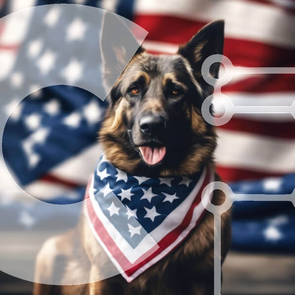 Happy German Shepherd Dog with American Flag Bandana stock photo ...