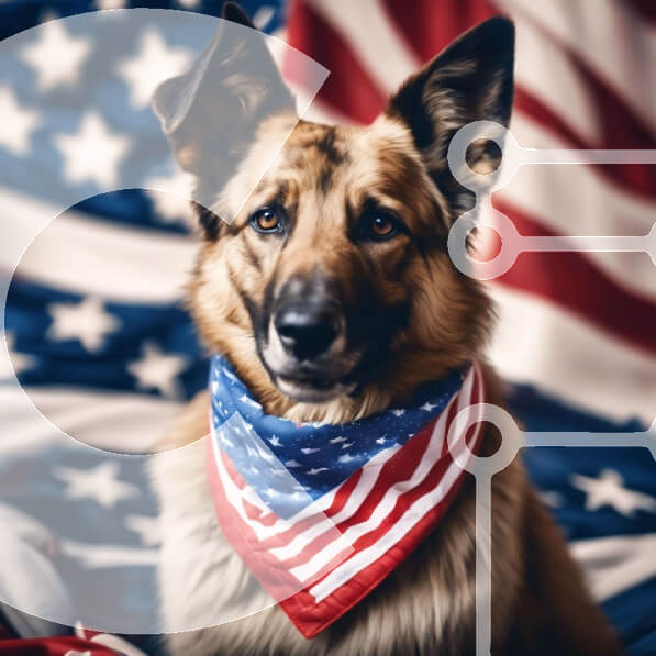 Patriotic German Shepherd Dog Celebrating 4th of July stock photo ...