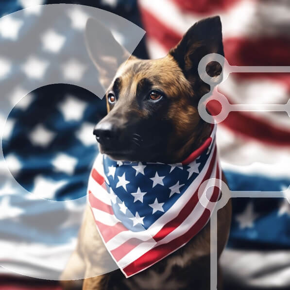 Patriotic Dog with American Flag Bandana stock photo | Creative Fabrica