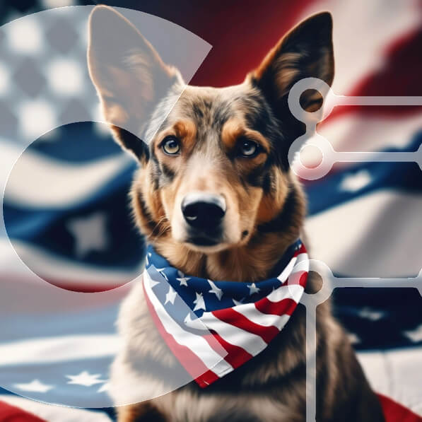 Perro curioso con bandana de la bandera estadounidense fotos de archivo ...