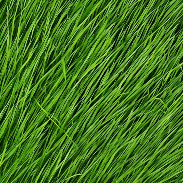 Download Close-Up of Soft Green Grass Backgrounds Online - Creative Fabrica