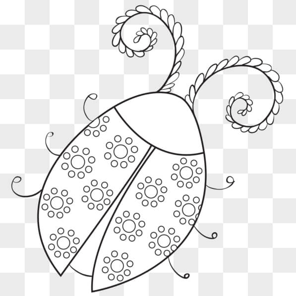 Download Black and White Ladybug Clip Art PNGs Online - Creative Fabrica