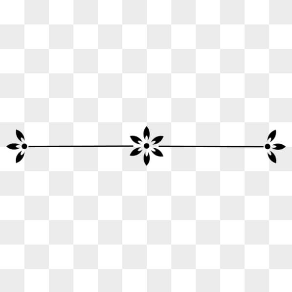 Download Black and White Line Design with Flowers PNGs Online ...