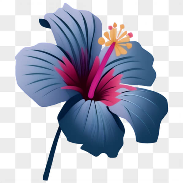 Download Blue Hibiscus Flower PNGs Online - Creative Fabrica