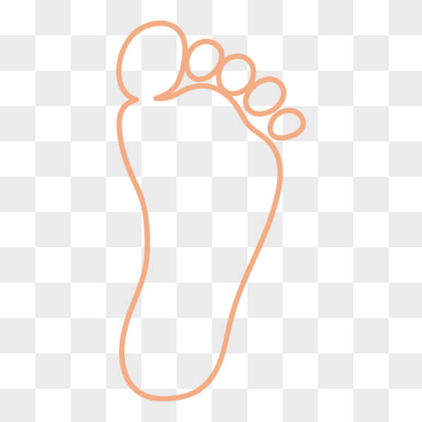 Download Illustration of Human Foot with Two Toes PNGs Online ...