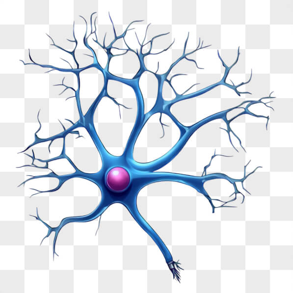 Download Blue and Pink Neuron in the Human Nervous System Cartoons ...