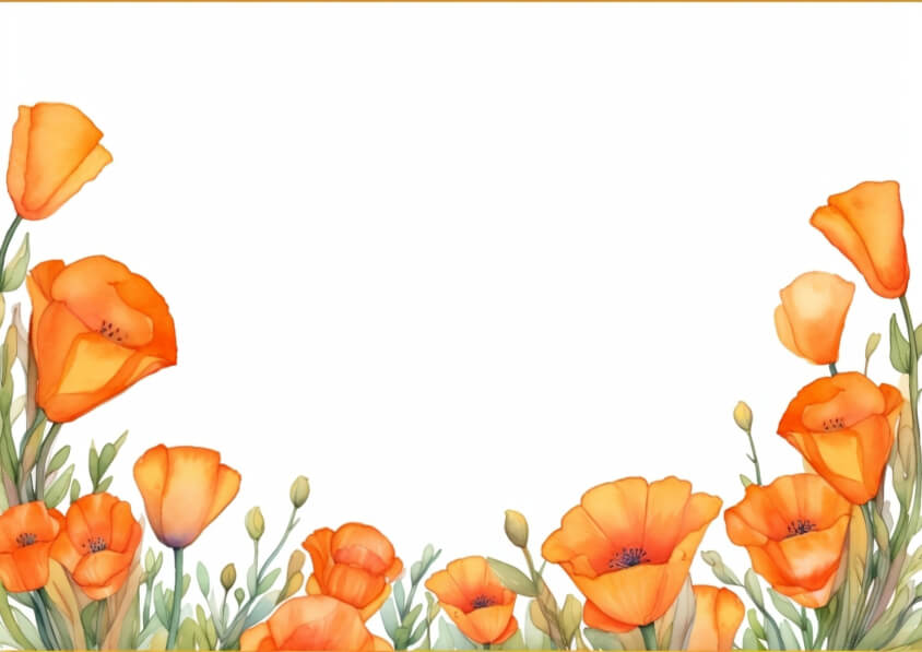 Download Vibrant Orange Poppy Floral Frame Backgrounds Online ...