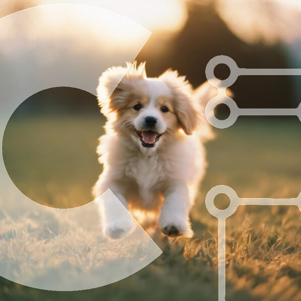 Playful White Dog in Green Grass Field stock photo | Creative Fabrica