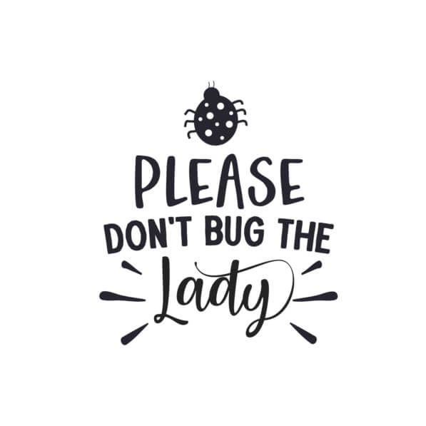 Download Ladybug with 'Please Don't Bug the Lady' Lettering Quotes ...