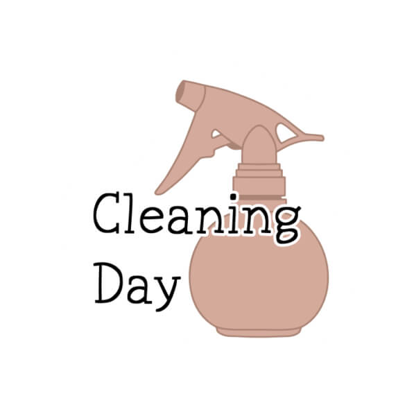 Download Pink Spray Bottle with 'Cleaning Day' Label Quotes Online ...