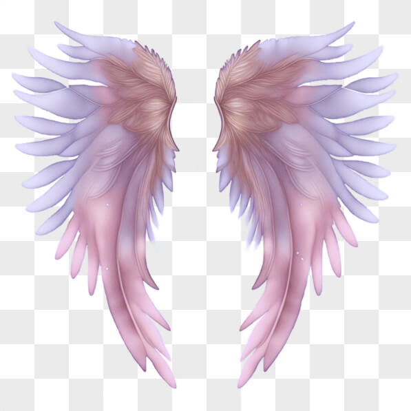 Download Pink and Purple Angel Wings Floating in Mid-Air PNGs Online ...