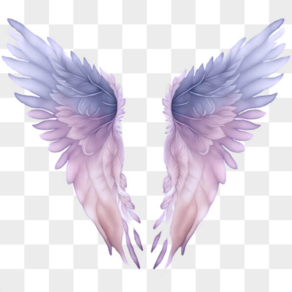 Download Pink and Purple Angel Wings on Black Background PNGs Online ...