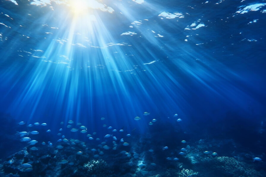 Download Underwater Scene with Bright Sunlight in Clear Blue Ocean ...