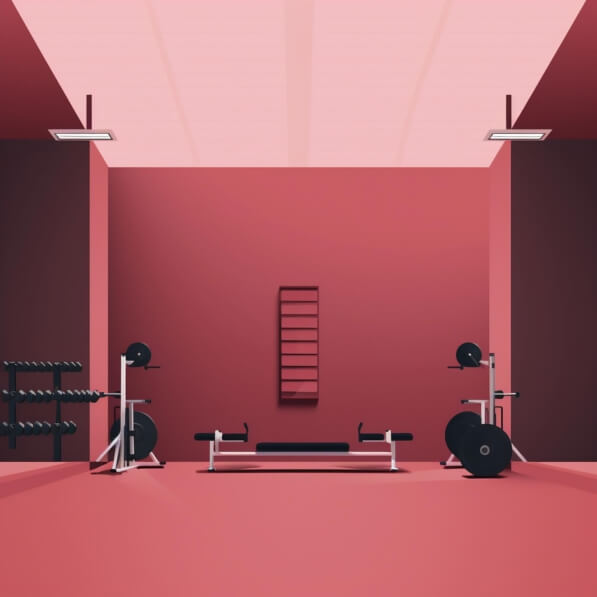 Download Gym Room with Dumbbells, Weights, and Exercise Bike ...