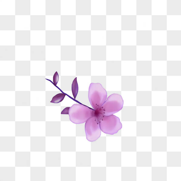 Descarga Flor Rosa Individual en Fondo Negro PNGs En Línea - Creative ...