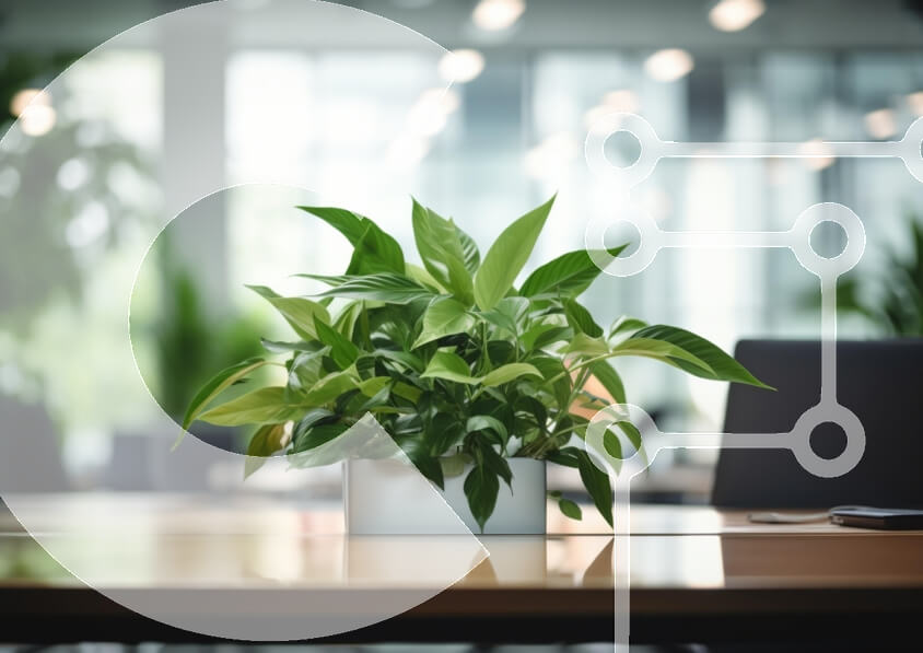 Small Potted Plant on Office Table stock photo | Creative Fabrica