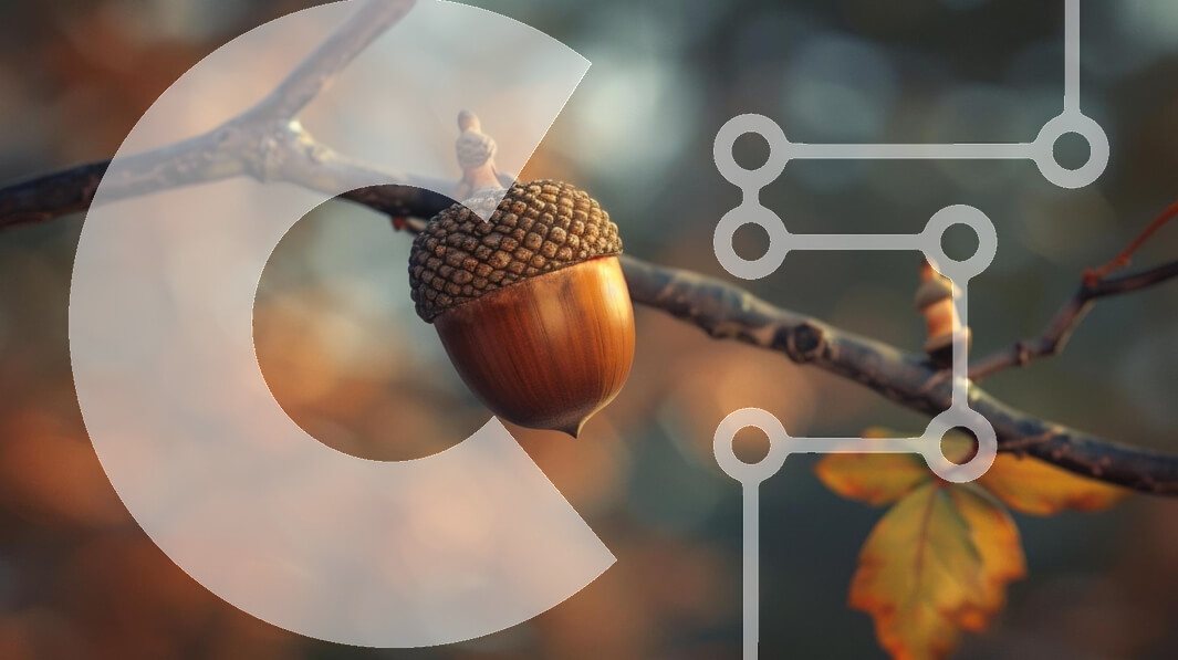 Acorn Hanging from Oak Tree Branch stock photo | Creative Fabrica