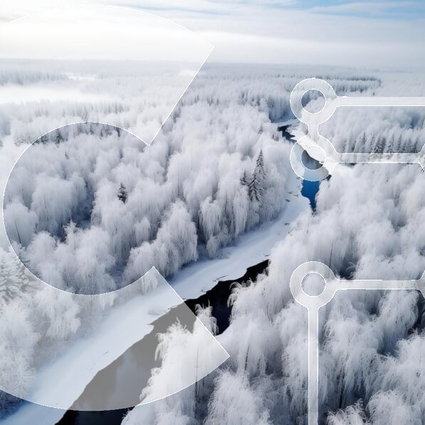 Snow-Covered Forest Aerial View stock photo | Creative Fabrica