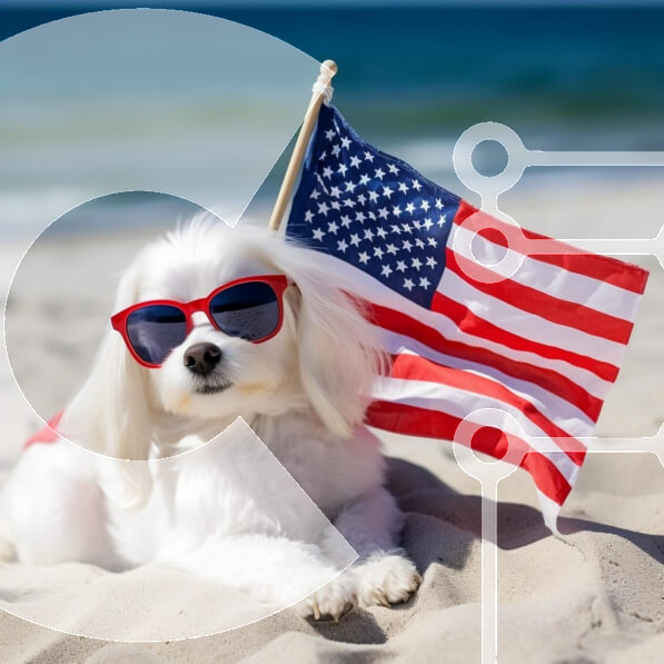 White Dog with American Flag on Beach stock photo | Creative Fabrica