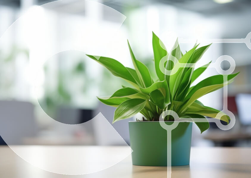 Office Green Plant on Table stock photo | Creative Fabrica