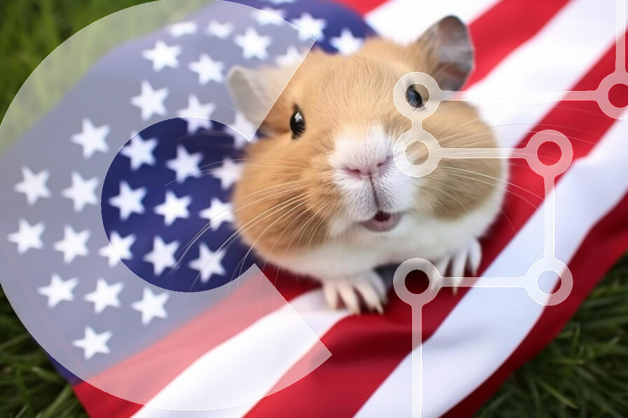 Guinea Pig on American Flag - 4th of July Celebration stock photo ...