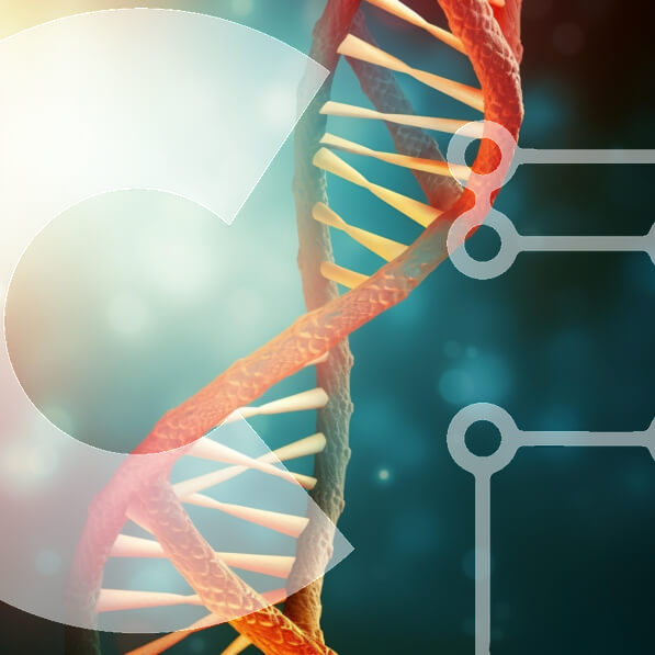 Cadeia de DNA Colorida para Estudo de Biologia Molecular banco de ...