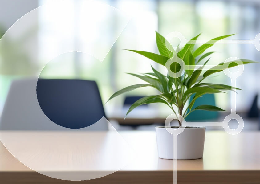 Office Space with Small Potted Plant stock photo | Creative Fabrica
