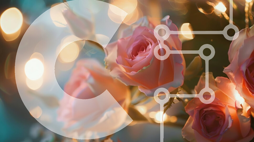 Pink Rose Bouquet with Illuminated Lights stock photo | Creative Fabrica