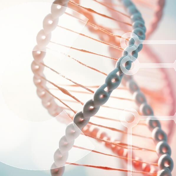 Close-up of Pink and White DNA Strand with Sun Background stock photo ...