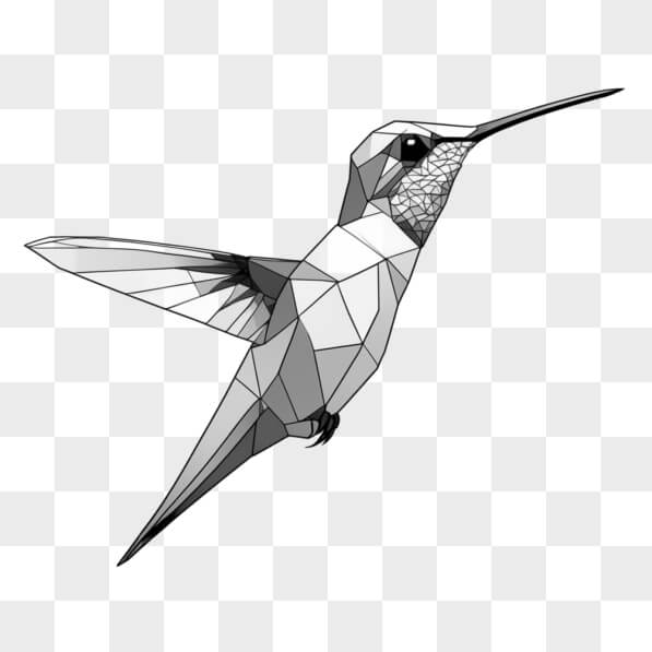 Download Black-and-White Abstract Hummingbird Drawing Sketches Online ...