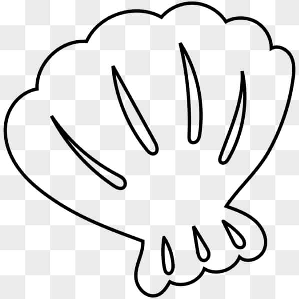 Download Schelp Kleurplaat PNGs online op Creative Fabrica