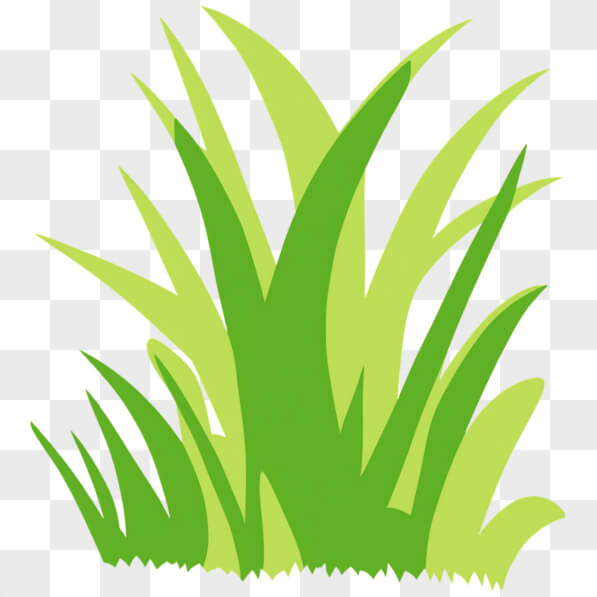 Download Green Grass Clip Art PNGs Online - Creative Fabrica
