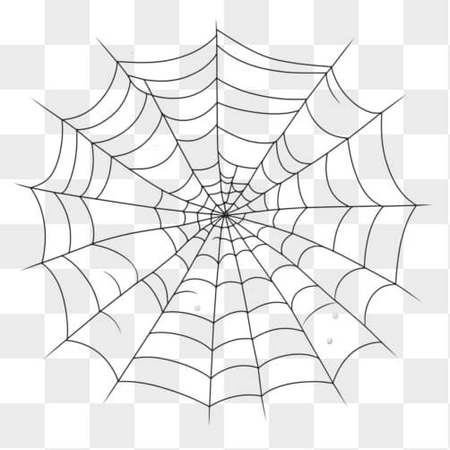Download Black and White Spider Web Drawing for Kids Sketches Online ...