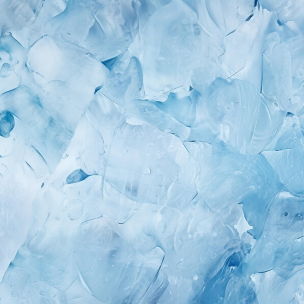 Download Close-up of Ice Cubes on Water with Frozen Fish Backgrounds ...
