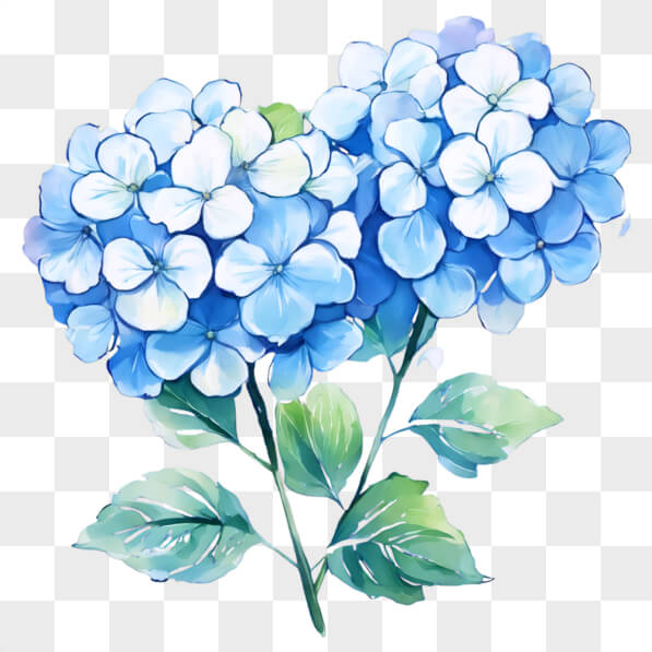 Download Kawaii: Heart-Shaped Blue Hydrangea Flowers Kawaii Online ...