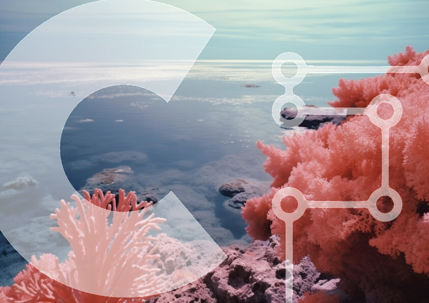 Pink Coral Reef in Natural Habitat with Marine Life stock photo ...