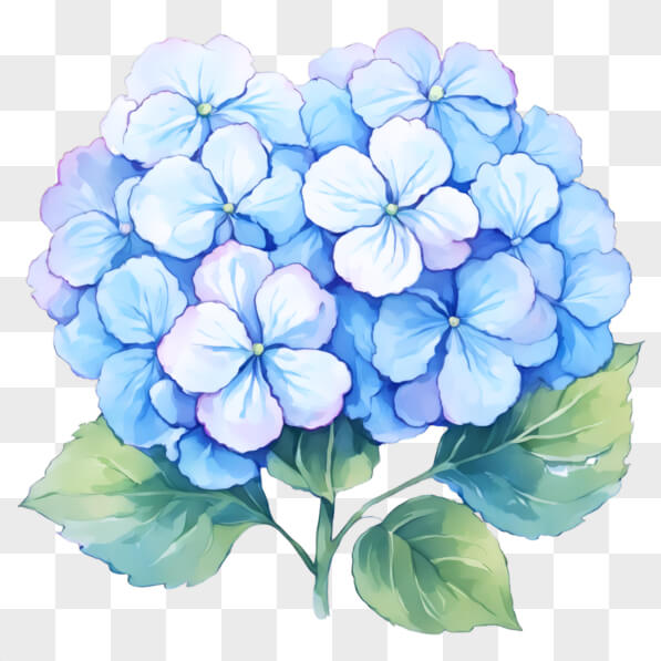 Download Kawaii Blue Flower Bouquet Kawaii Online - Creative Fabrica