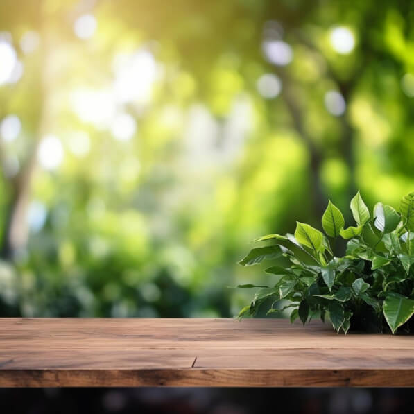 Download Wooden Table with Green Plants Backgrounds Online - Creative ...