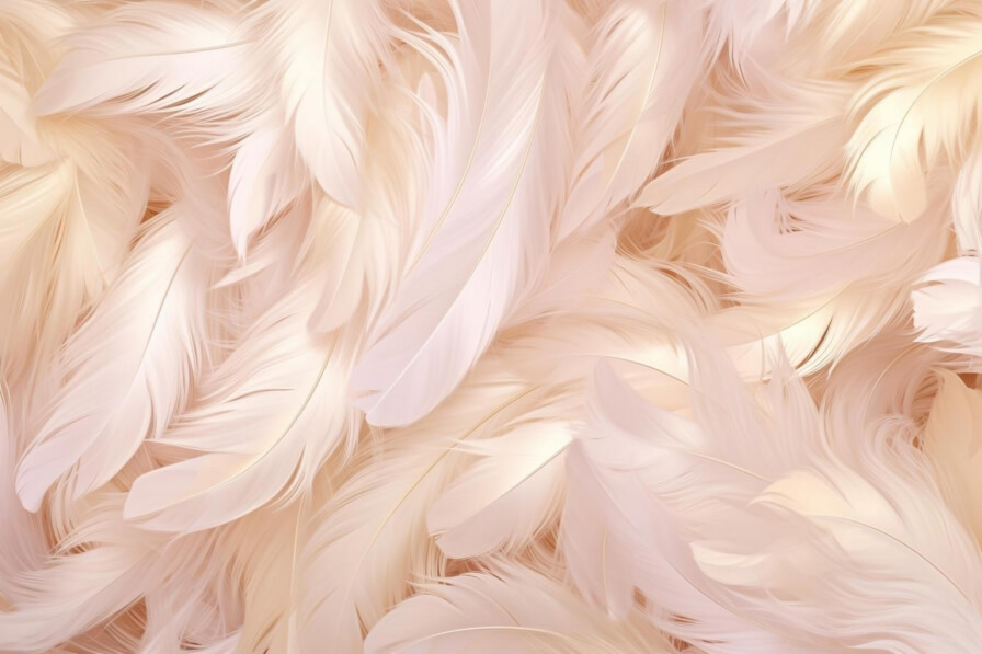 Download Pink and Cream Feather Background Backgrounds Online ...