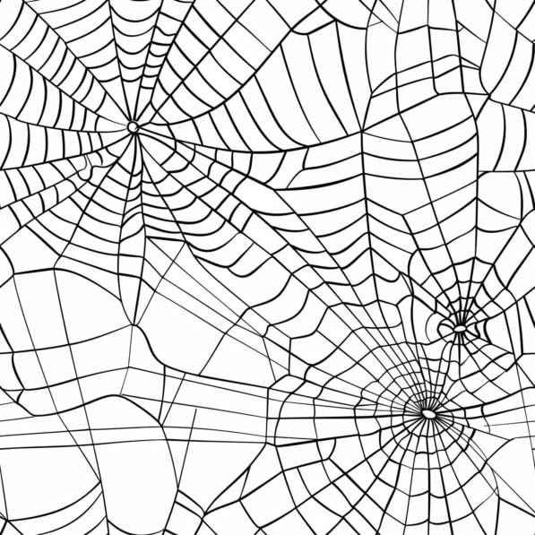 Download Black and White Spider Web Backgrounds Online - Creative Fabrica