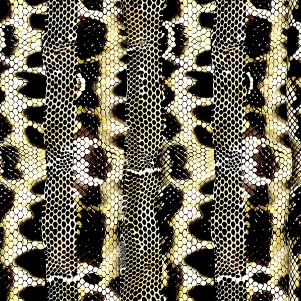 Download Snake Skin Pattern with Black and Yellow Stripes Patterns ...