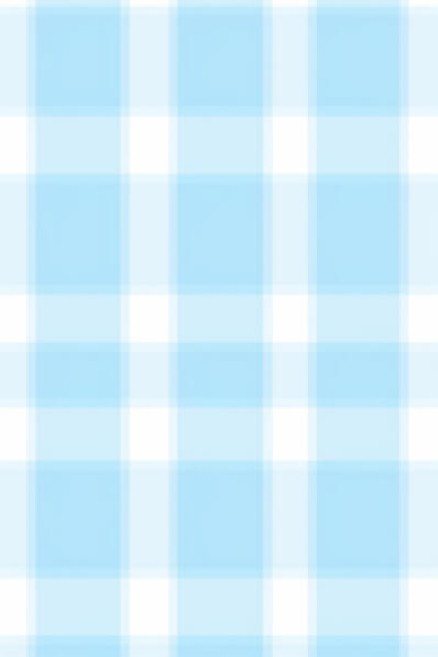 Download Blue and White Checkered Tablecloth Backgrounds Online ...