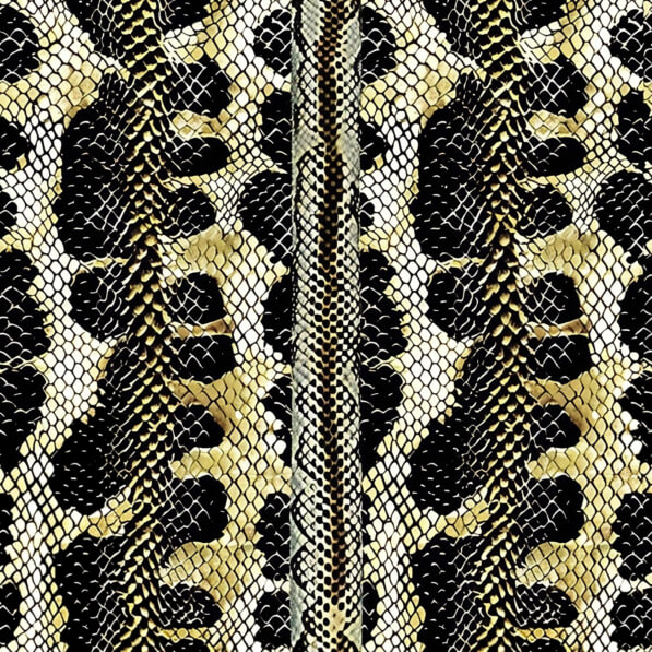 Download Snake Skin Pattern with Black and Gold Stripes Backgrounds ...