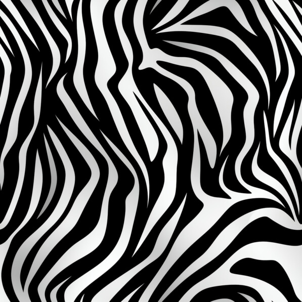 Download Black and White Zebra Print Fabric Patterns Online - Creative ...